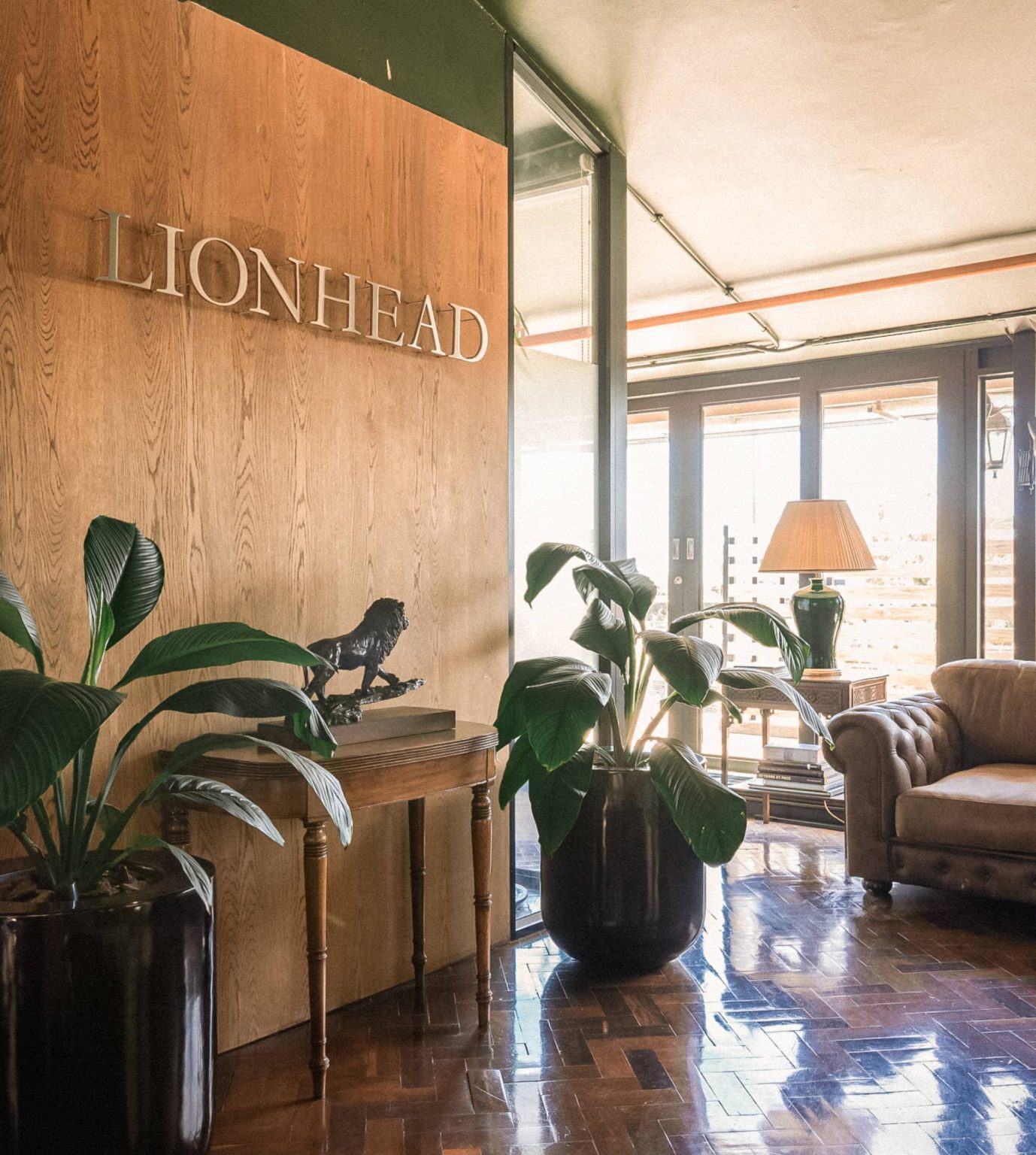 Lionhead Capital - Private Investment Firm