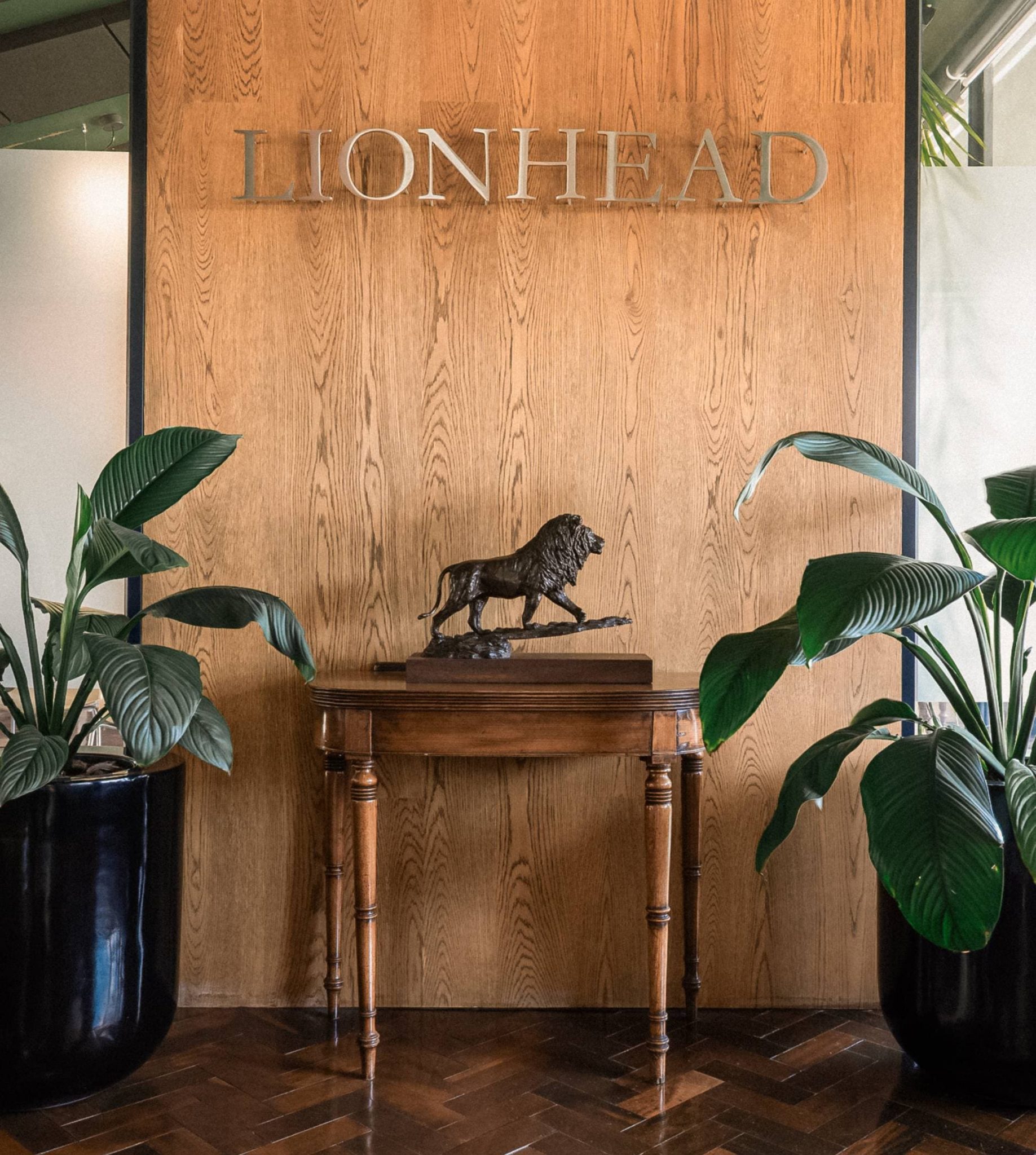 Lionhead Capital - Private Investment Firm