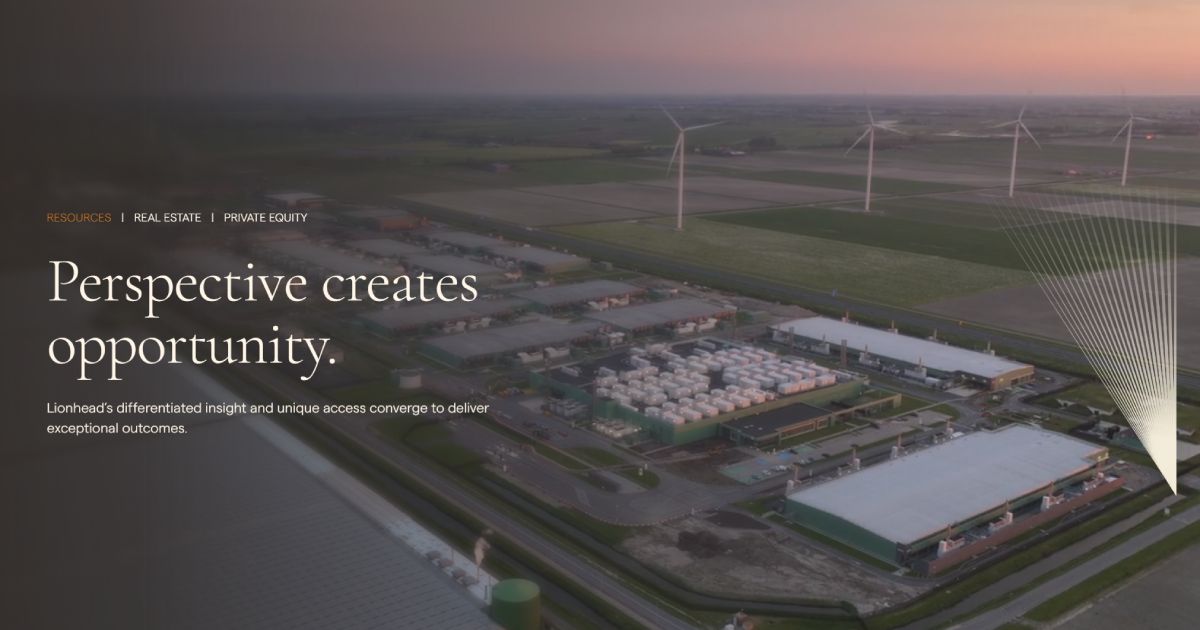 Lionhead Capital - Private Investment Firm